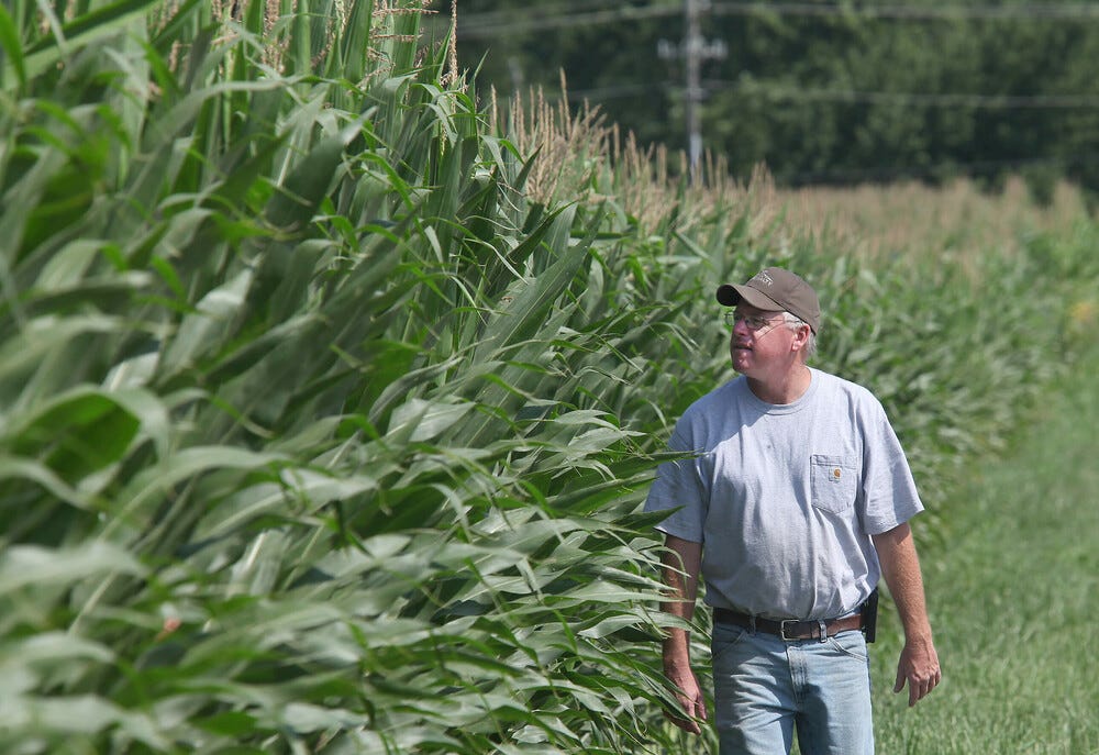 USDA’s August Crop Production lowers 2021 corn yields - Michigan Farm News