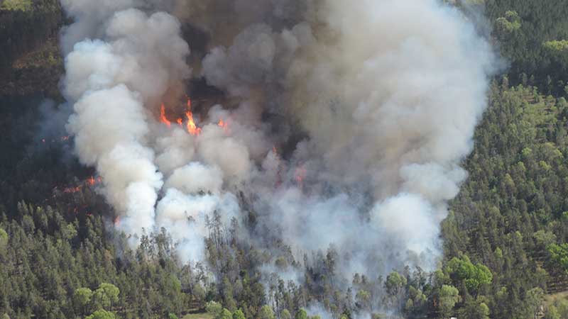 Crews cleaning up after 136-acre fire near Manton; fire danger remains ...