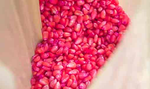 Coated seeds could encourage an early start for spring planting ...