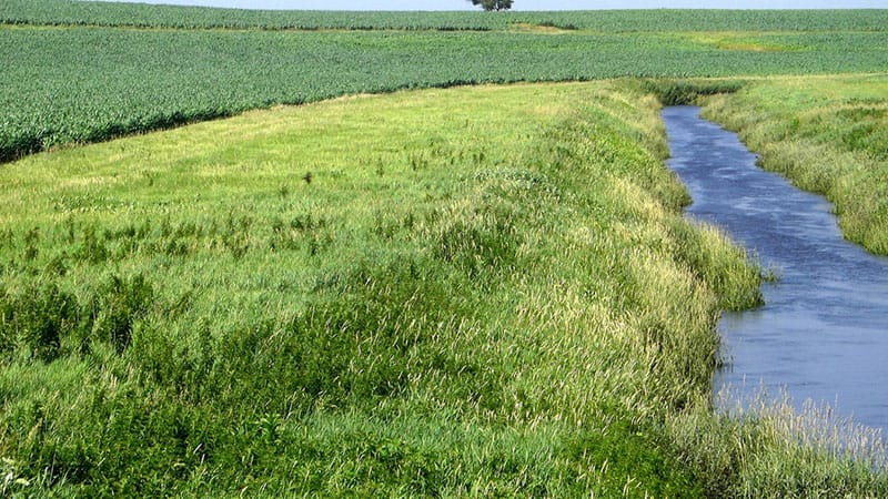 MSU researcher awarded USDA farm drainage systems grant to improve ...
