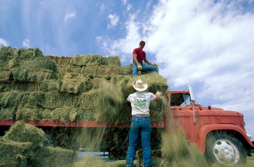 Farm labor solution gaining traction - Michigan Farm News