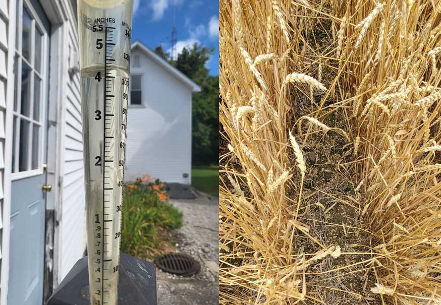 Late-night rain totals a case of the ‘haves and have nots’ - Michigan ...