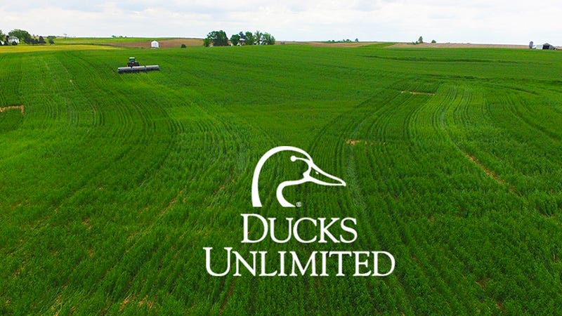 Enrollment now open for Ducks Unlimited cover crops program in Indiana ...