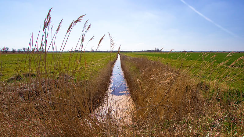 Need help with environmental regulations? Start with this one-stop MFB ...