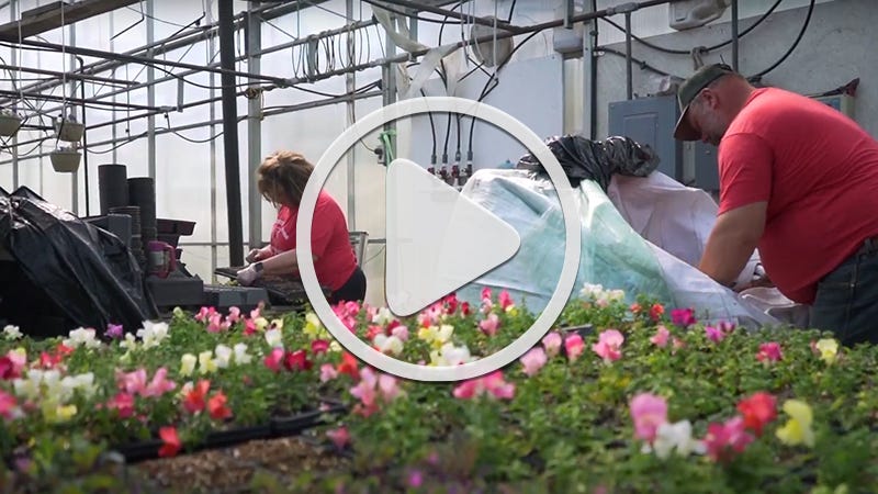 Knickerbocker Farm Market and Greenhouse: Membership means more ...