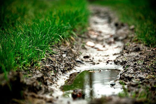 Act now on new and improved Clean Water rule - Michigan Farm News