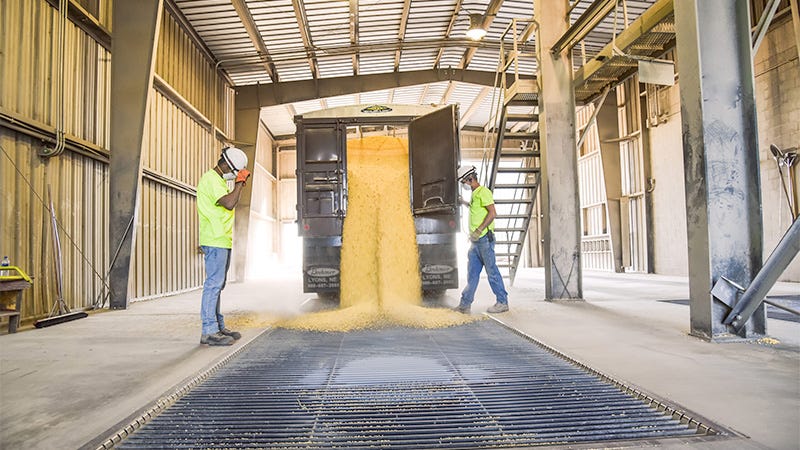 USDA’s Grain and Oilseeds Outlook: Less corn, wheat, more soybean acres ...