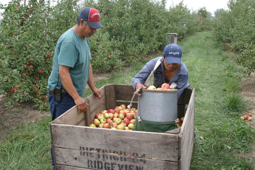 Immigration reform – it’s down to the wire for ag labor - Michigan Farm ...