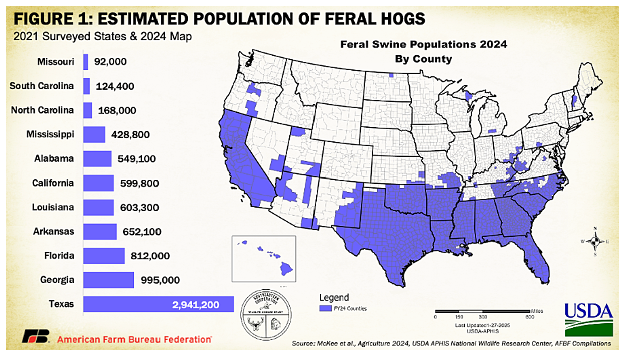 Feral hog damage costs US farmers $1.6B annually - Michigan Farm News