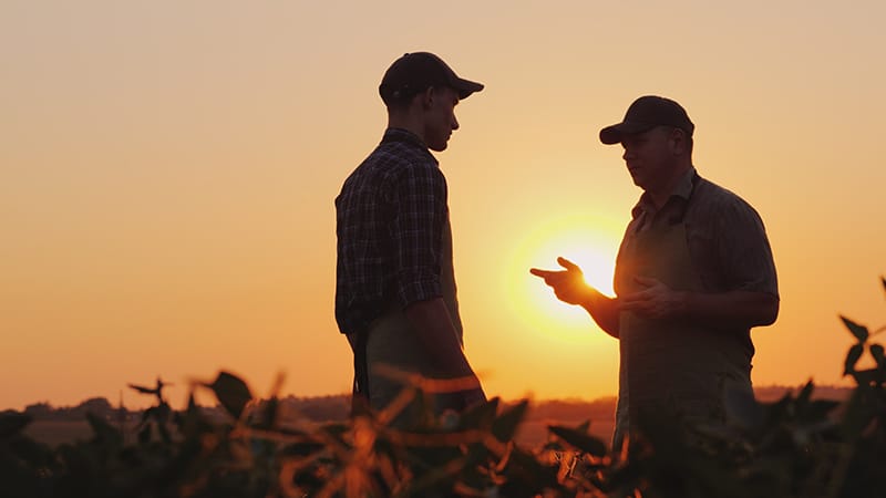 USDA sets spring crop insurance prices - Michigan Farm News