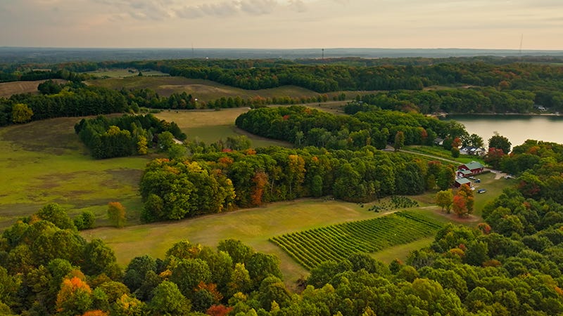 USDA releases CFAP details and payment rates – producer enrollment ...