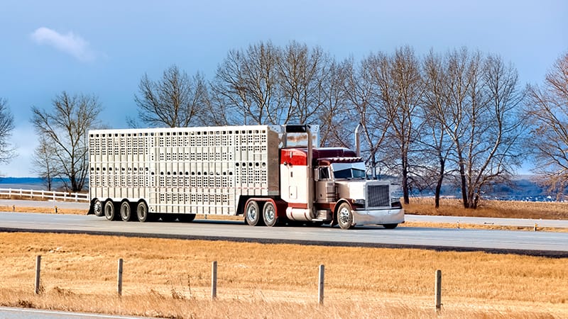 USDA issues mandatory testing, reporting federal order for interstate ...