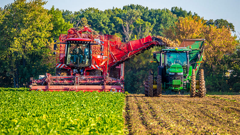 Margin Protection crop insurance deadline Sept. 30 - Michigan Farm News