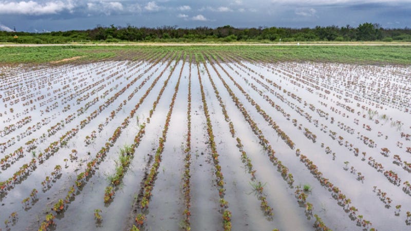 Pre-filled USDA Emergency Relief Program applications mailed to ...