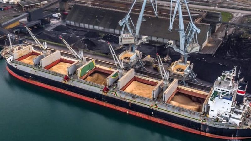 Soybeans bringing record prices and historical exports in Brazil ...