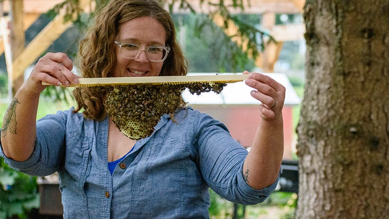 Legislation to sweeten the deal for honey, maple syrup producers ...