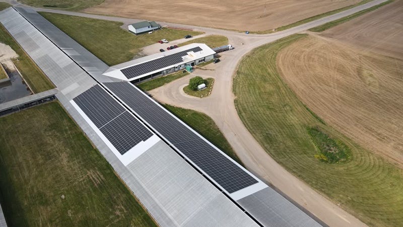 Rural Energy for America Program can lower costs for on-farm solar ...