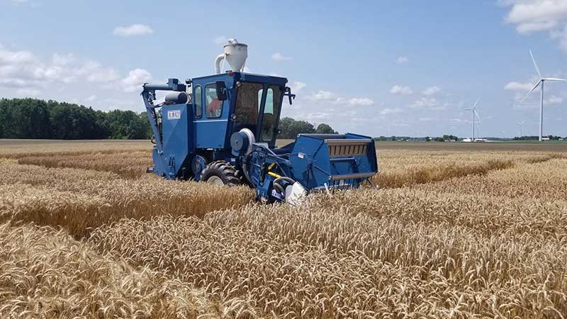 Michigan Wheat Program Field Day set for June 14 in Lansing - Michigan ...
