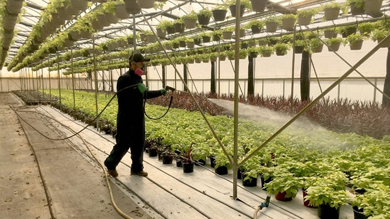 Have questions about pesticide applicator certifications? Start here ...