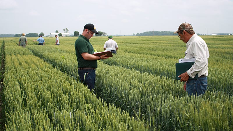 MSU releases '2025 Custom Work Rates Report' - Michigan Farm News