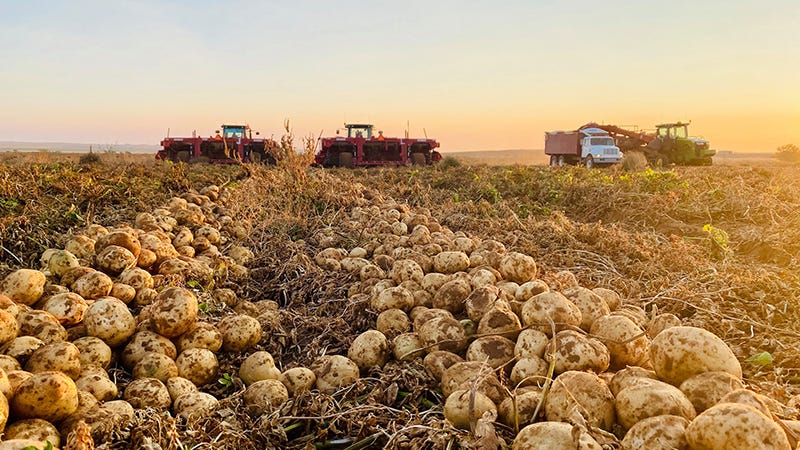 Ryan Norton elected chair of Michigan Potato Industry Commission ...