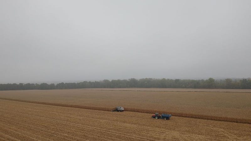 ‘Don’t be scared’: County Farm Bureau leaders reflect on FB involvement ...