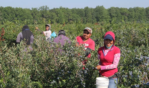 Farmers lead Michigan’s comeback - Michigan Farm News