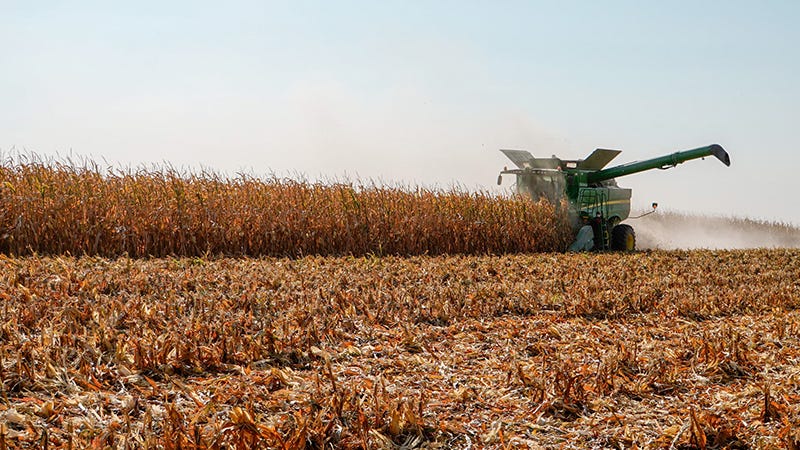 MSU releases '2025 Custom Work Rates Report' - Michigan Farm News