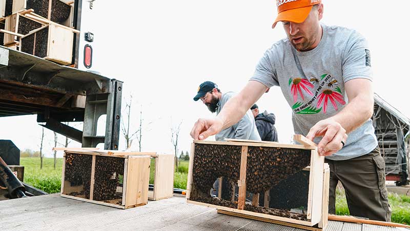 Hundreds of Great Lakes beekeepers head to Fremont for annual honeybee ...