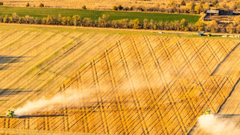 Designing the right fall burndown program - Michigan Farm News