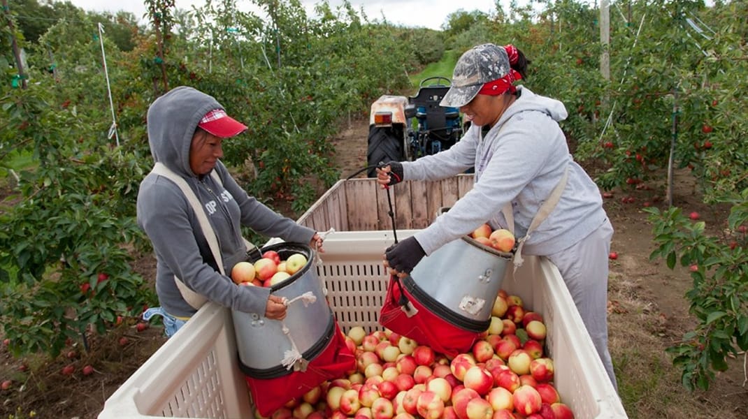 A reprieve for Michigan: DOL puts new H-2A rule on hold nationwide ...