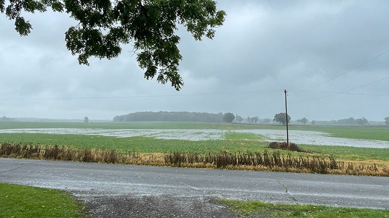 Heavy rains deepen disease concerns for corn, wheat, soybean, dry bean ...