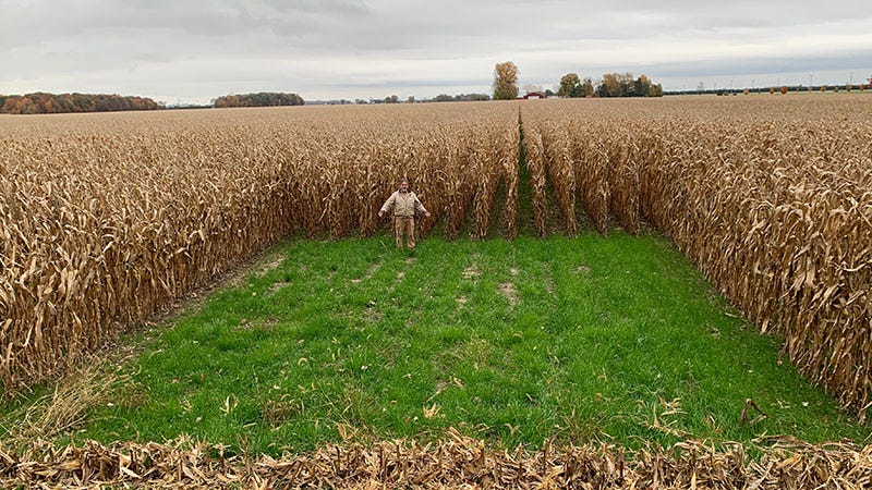 Conservation focus: Michigan farmers form groups to talk conservation ...