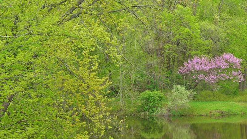 New research analyzing socioecological influences on carbon in ...