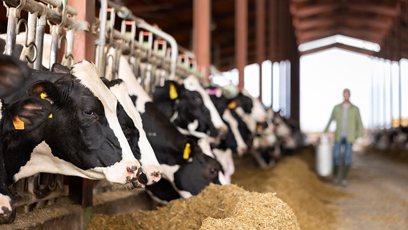 USDA's January WASDE continues optimistic outlook for livestock sector ...