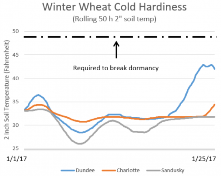 Will winter wheat weather the weather? - Michigan Farm News