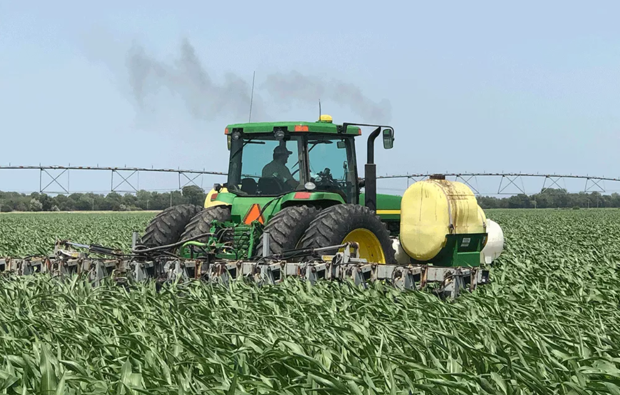 Assessing and managing nitrogen losses in corn - Michigan Farm News