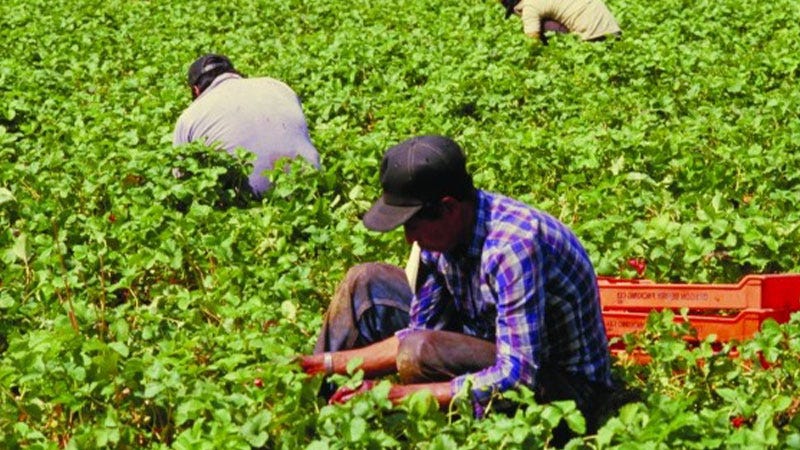 Received an ag labor survey? Here’s why you need to fill it out ...