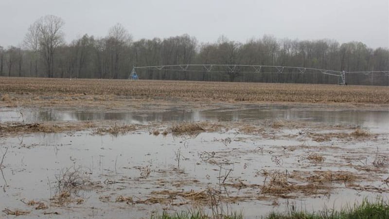 Farmers in 79 Michigan counties eligible for USDA Disaster Assistance ...