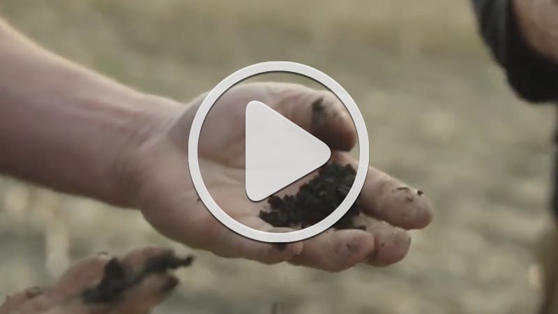 ‘ForGround’ simplifies Bayer’s Carbon Program, expands eligibility to ...