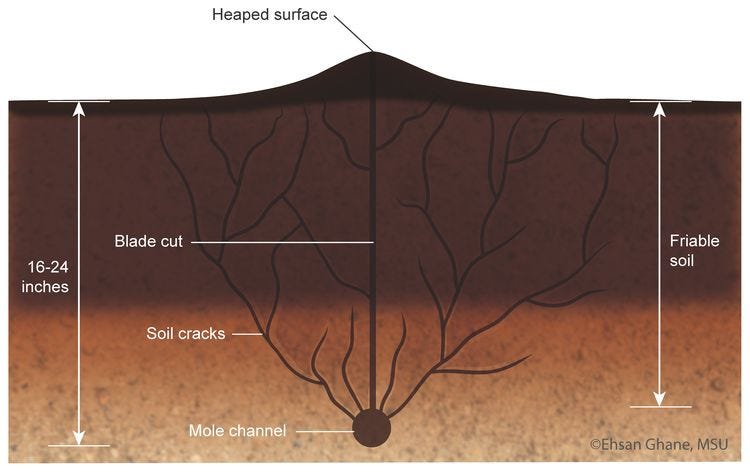 Mole drains offer low-cost alternative to subsurface tiles - Michigan ...