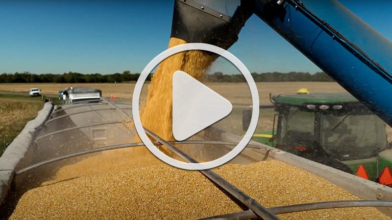 Pioneer brand seeds adds more than 60 new high-yielding hybrids to corn ...