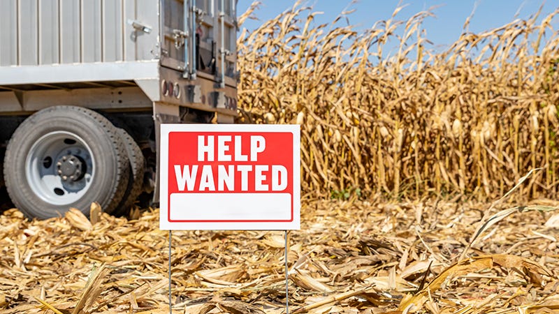 'No obvious, easy, or quick solutions' to ag labor challenges, says ...