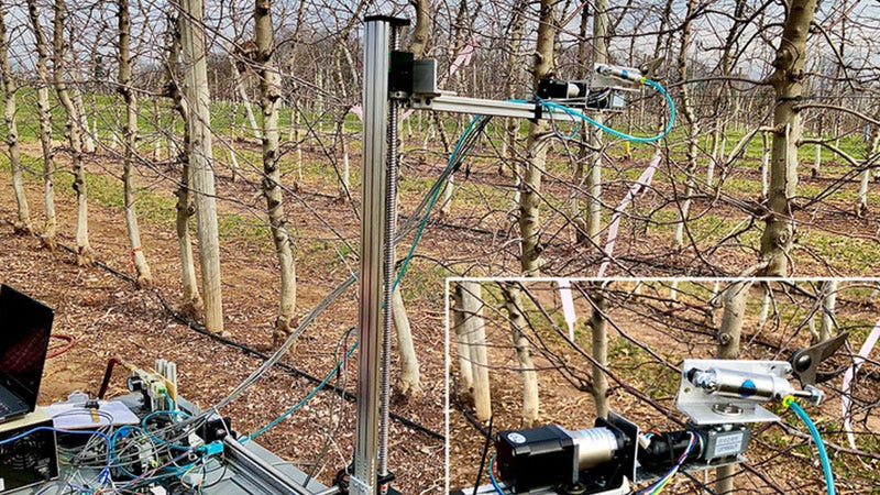 Innovative cutting mechanism devised for automated, robotic apple tree ...