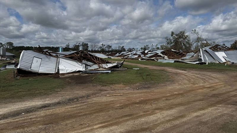 Farmers face $26B of uncovered losses in last 3 years, says AFBF economist - Michigan Farm News