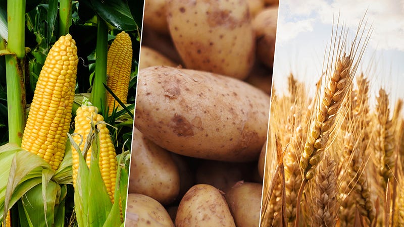 Gov. Whitmer appoints Farm Bureau members to commodity boards ...