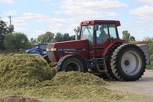 Take the smell test for silage at AgroExpo - Michigan Farm News
