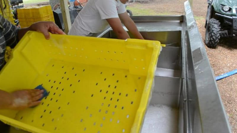 Produce safety cleaning and sanitizing workshop set for Nov. 18 ...