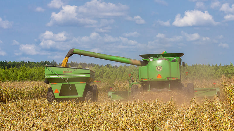 Production pain: Costs per acre set to increase for every major row ...