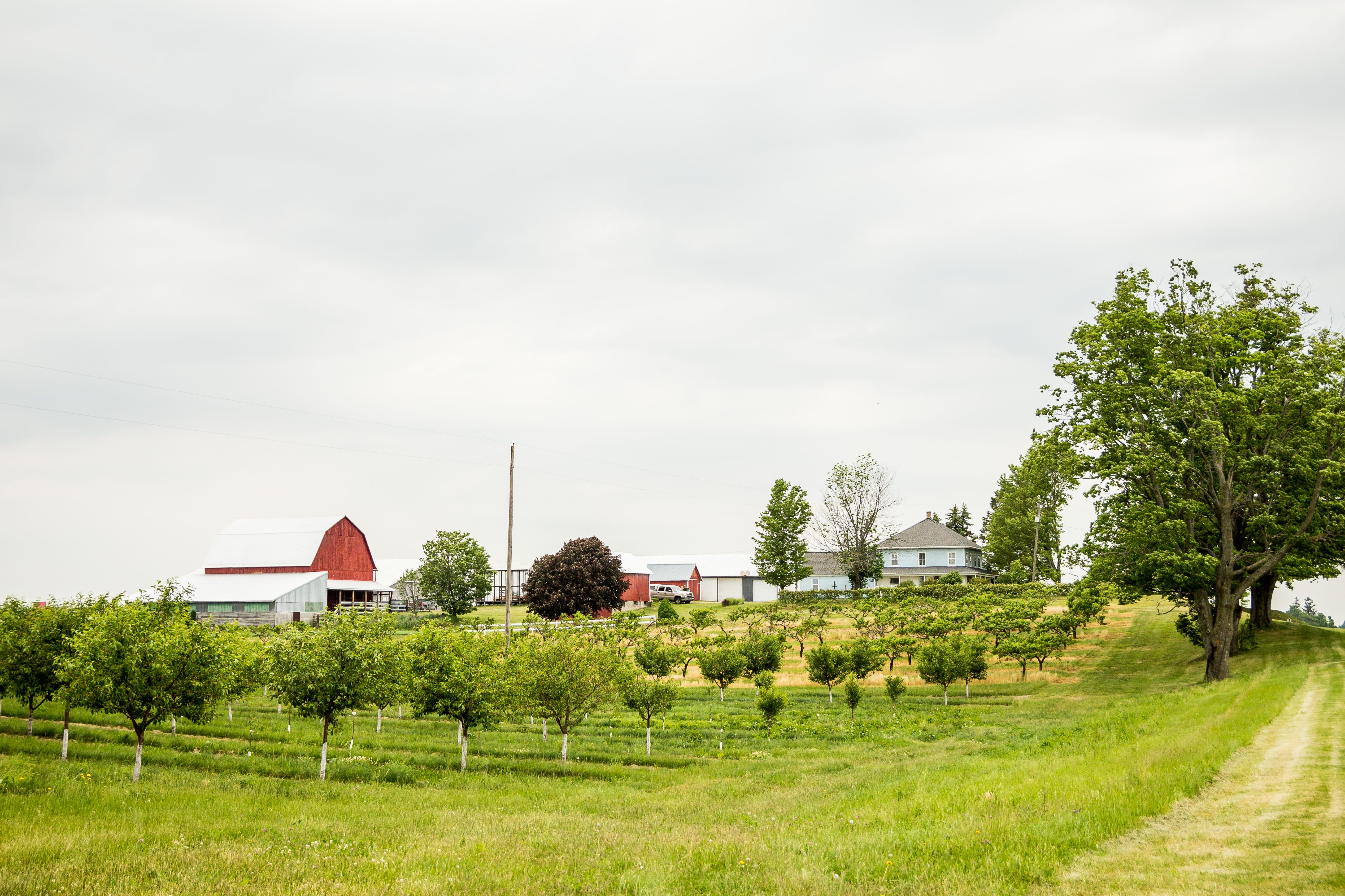 Playing favorites? ‘Not all crops are equal,’ sources say - Michigan ...